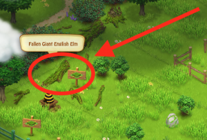 Bellflower Meadow Walkthrough – Country Life Meadows