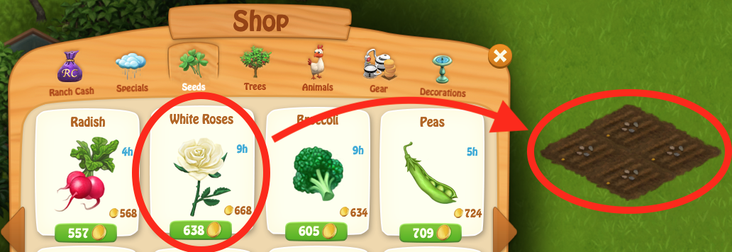 How do I make Blue Roses? – Country Life Meadows