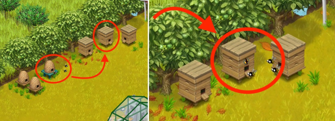 How to Make the 18 Honey Types | Langstroth Beehives – Country Life Meadows